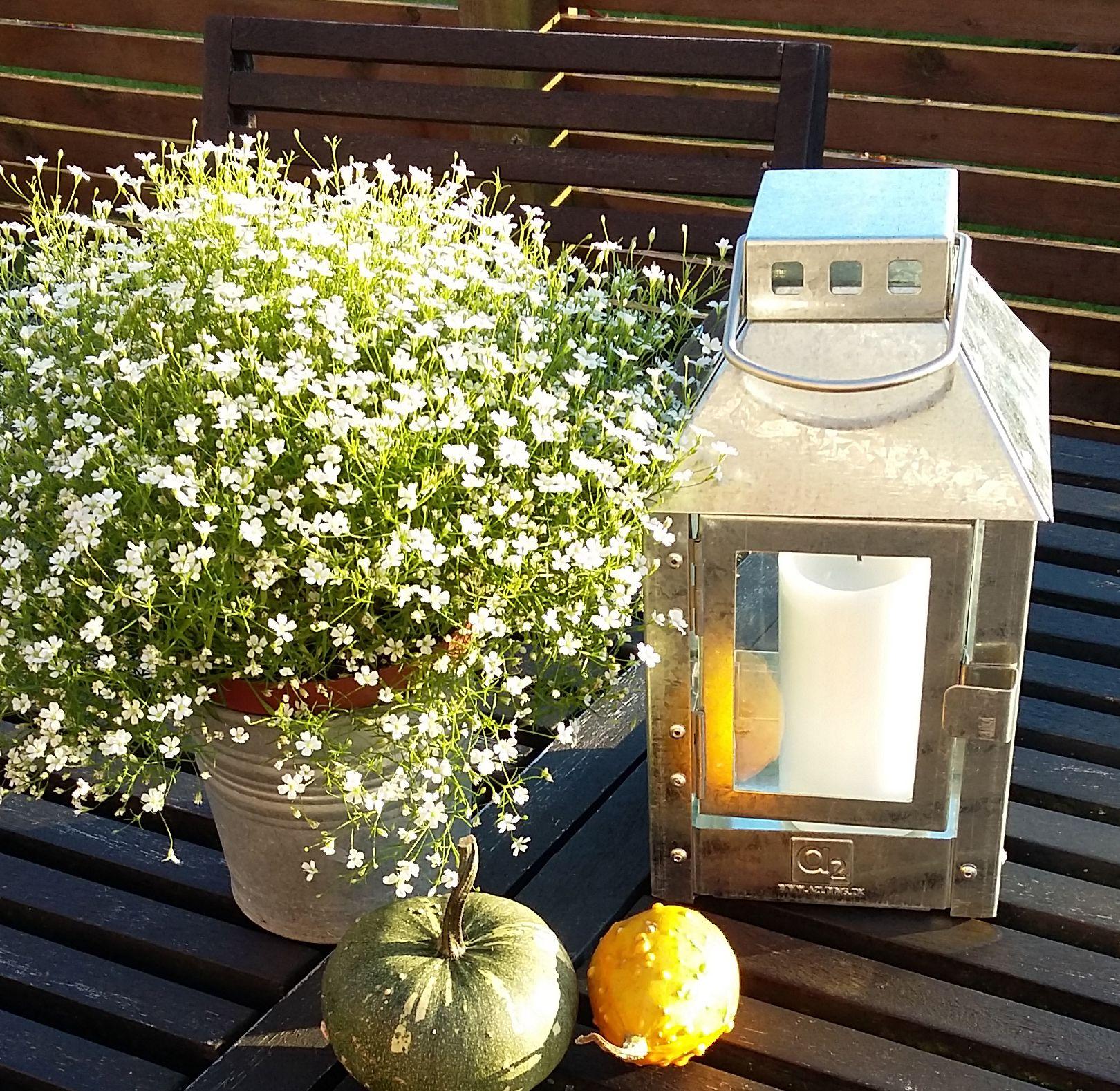 Udendørs lanterne | Flot kvalitet, 3 størrelser | Se A2 Living