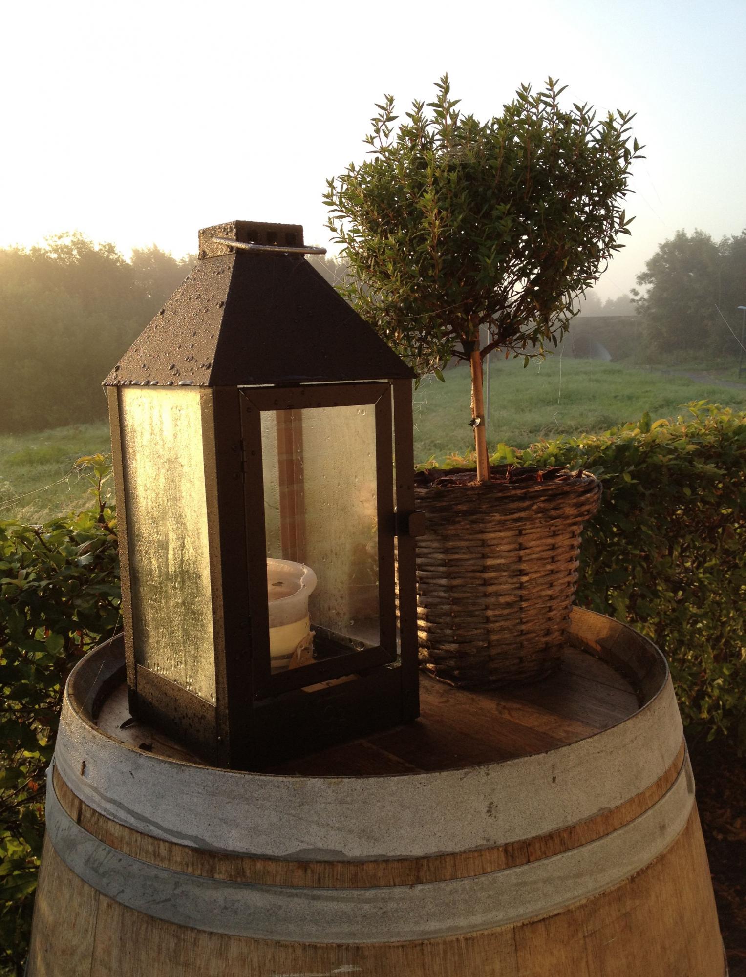 Sorte lanterner | Perfekt udendørs, 3 størrelser | Se A2 Living